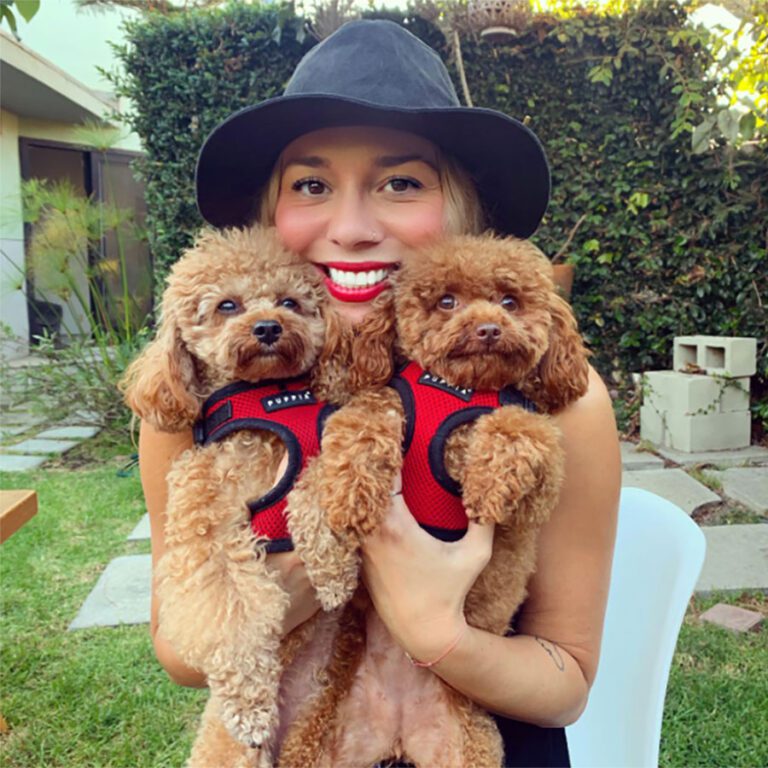 Stacy Rogers | The Brand Amp